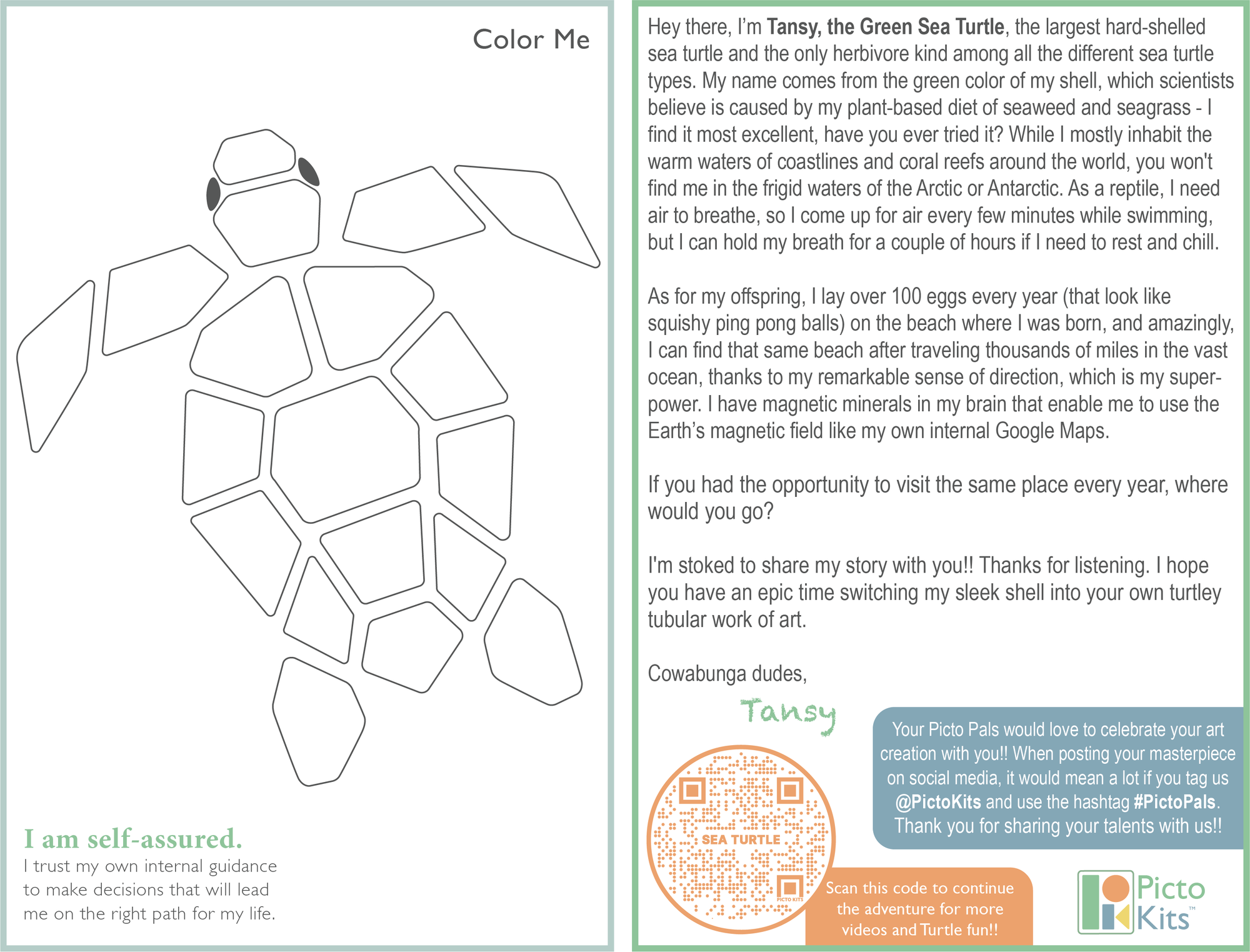 Sea Turtle – Picto Kits